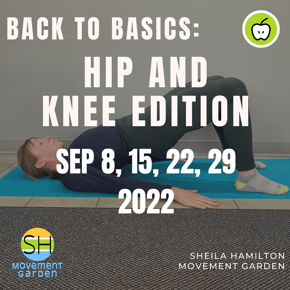 Taking Care Of Your Sealth - Sheila Hamilton Movement Garden